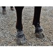 EASYCARE Easyboot Epic Horse Hoof Boot, 000 - Chewy.com
