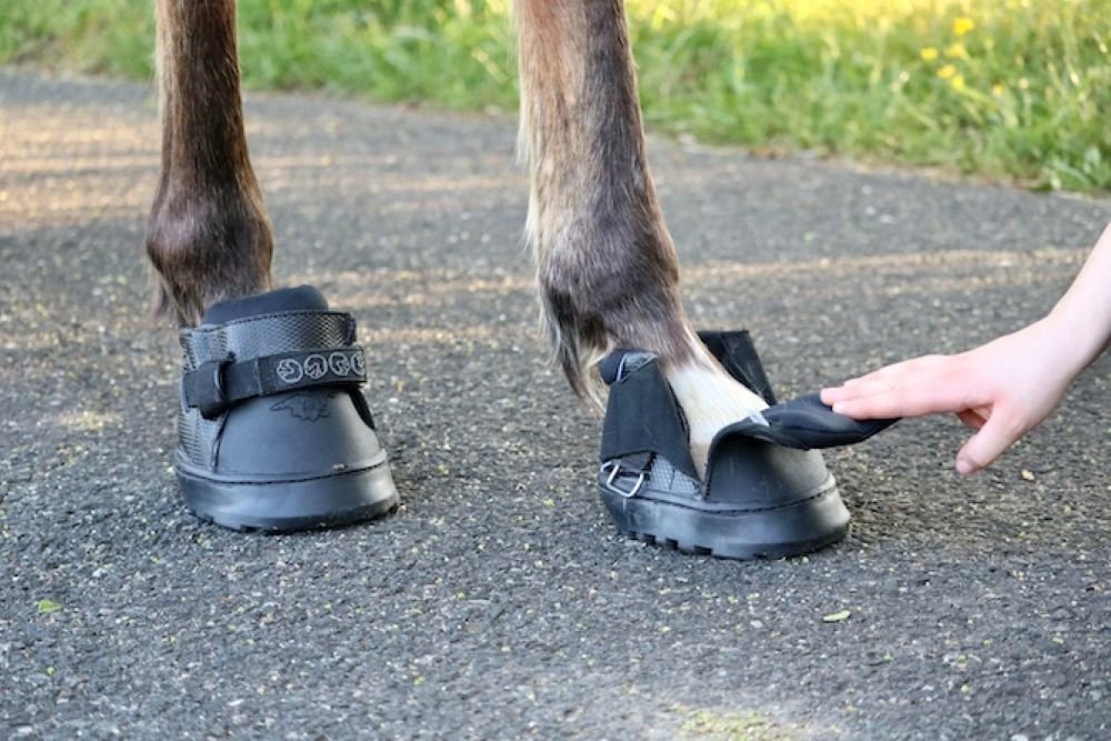 EASYCARE Easyboot Sneaker Horse Hoof Boot, Front, 4 - Chewy.com