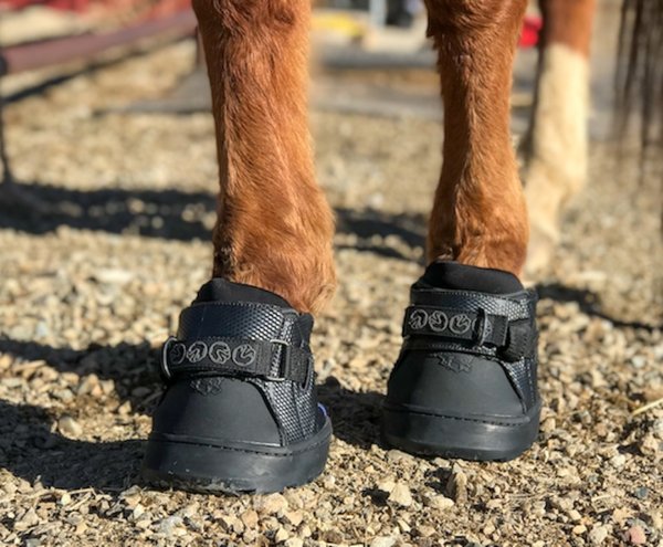 EASYCARE Easyboot Sneaker Horse Hoof Boot, Front, 5 - Chewy.com