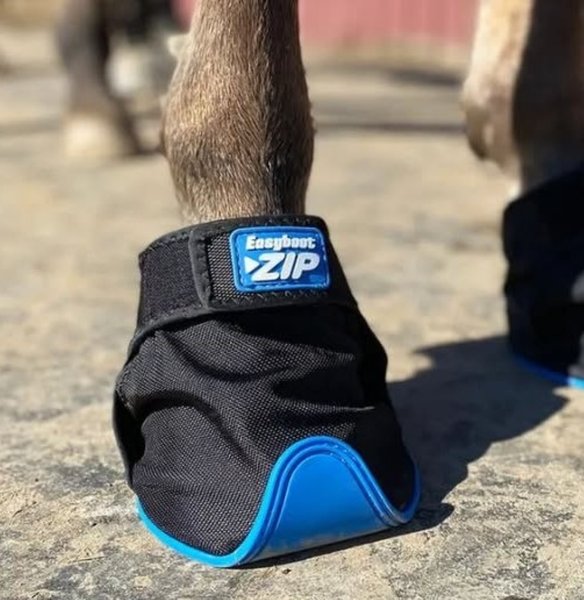 EASYCARE Easyboot Zip Horse Hoof Boot, 3 - Chewy.com
