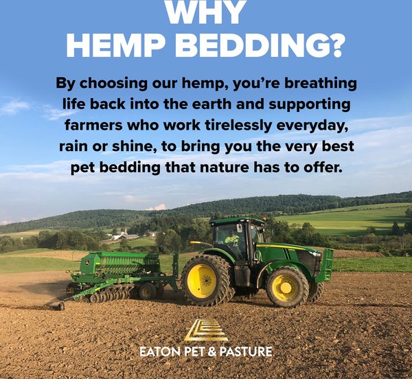 EATON PET & PASTURE Naturally Grown Hemp Small Pet Bedding, 8.5-lb bag ...