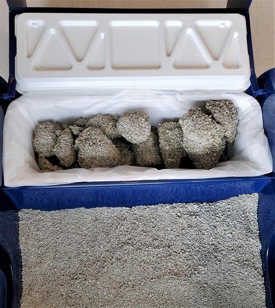 ECOLEO LitterMaid Compatible Waste Receptacle Compostable Cat Litter ...