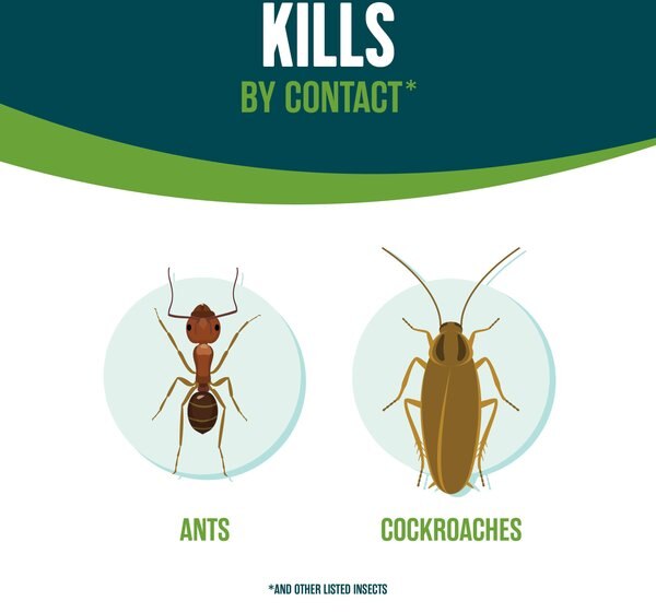 ECOLOGIC Ant & Roach Killer Aerosol Spray, 14-fl oz bottle - Chewy.com