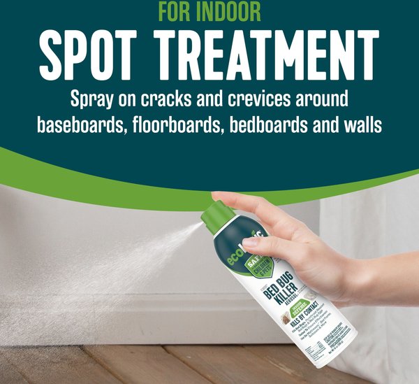 ECOLOGIC Bed Bug Killer Aerosol Spray, 14-fl oz spray - Chewy.com