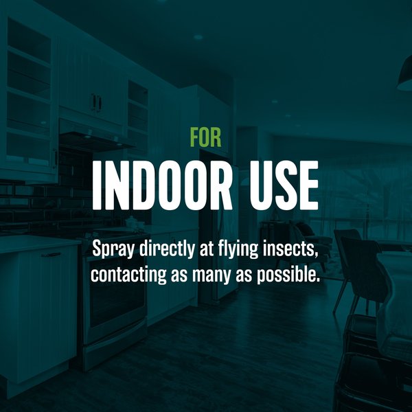 ECOLOGIC Flying Insect Killer Aerosol Spray, 14-fl oz bottle - Chewy.com