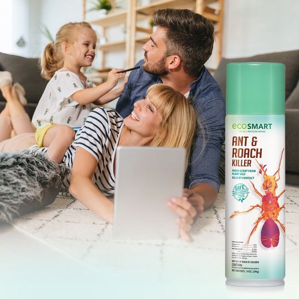 ECOSMART Ant & Roach Killer, 14-fl oz bottle - Chewy.com