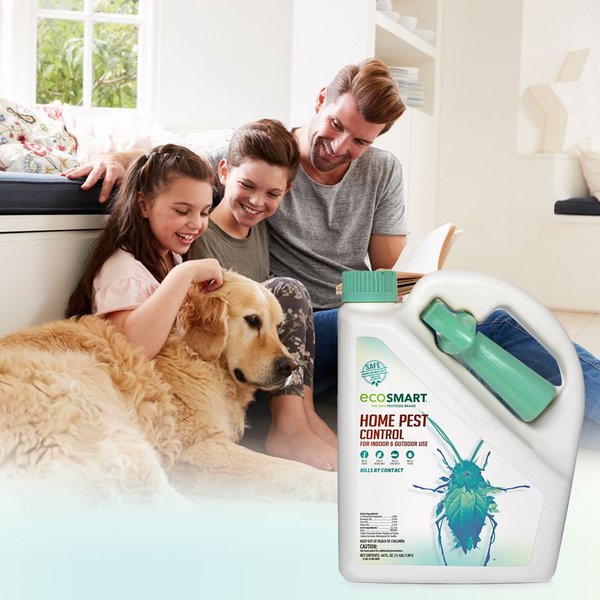 ECOSMART Home Pest Control, 64-fl oz bottle - Chewy.com