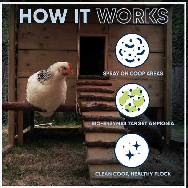 ECOSTRONG Chicken Coop Odor Eliminator Spray, 1-gal jug with 32-fl oz ...