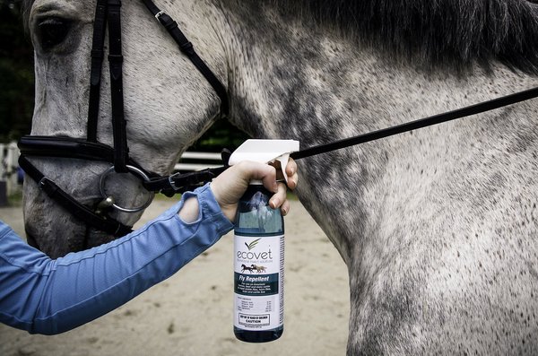 ECOVET Fly Repellent Horse Spray, 18-fl oz bottle - Chewy.com