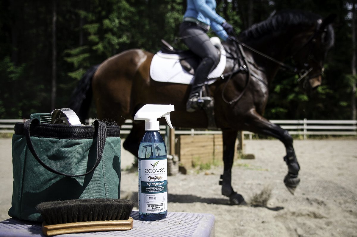 ECOVET Fly Repellent Horse Spray, 18-fl oz bottle - Chewy.com