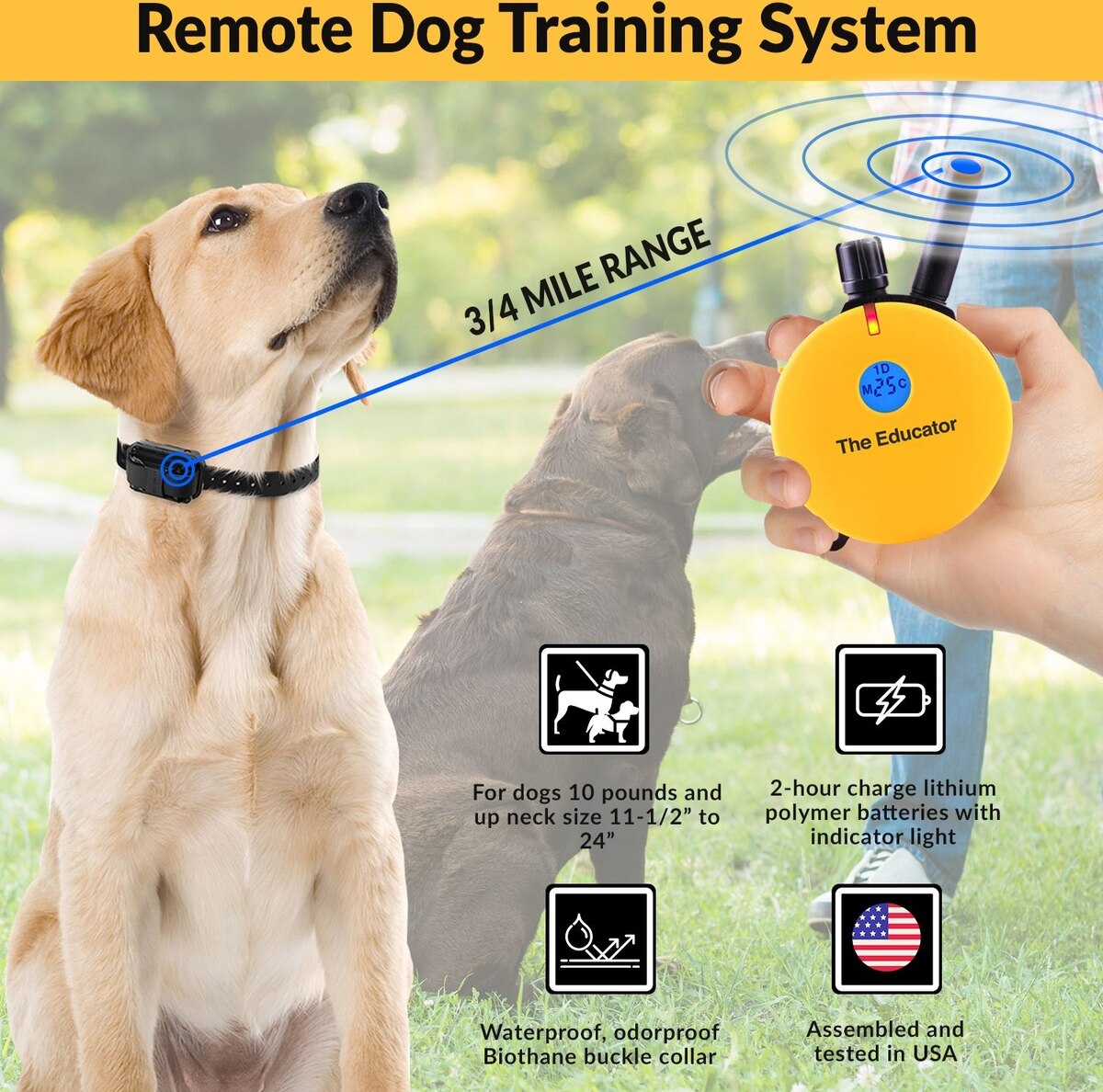 EDUCATOR By E-Collar Technologies 3/4 Mile Range Waterproof Dog ...