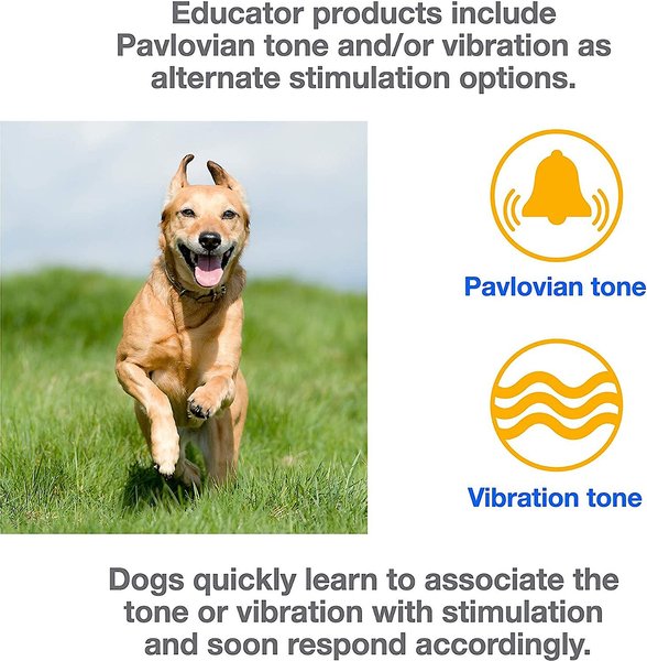 EDUCATOR By E-Collar Technologies Educator 1/2 Mile Pro Advanced ...