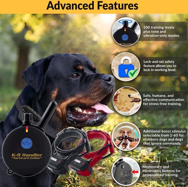 EDUCATOR By E-Collar Technologies Educator K9 Handler 3/4 Mile Waterproof Dog Training Collar, 2 ...