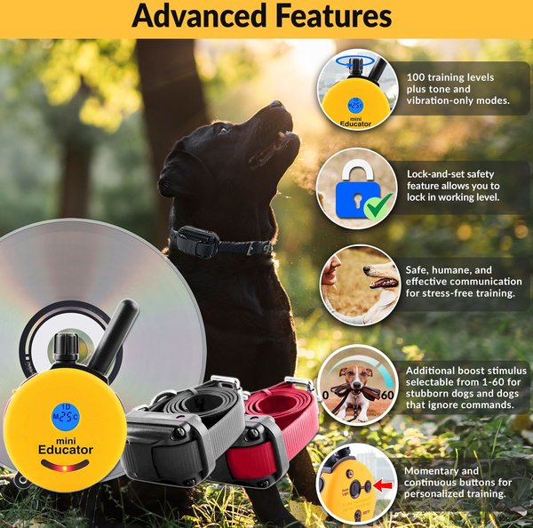 EDUCATOR By E-Collar Technologies Mini 1/2 Mile E-Collar Waterproof Dog Training Collar, 2 ...