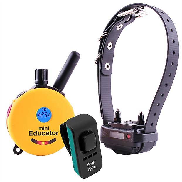 Best Dog Training Clickers: Low Prices (Free Shipping) | Chewy