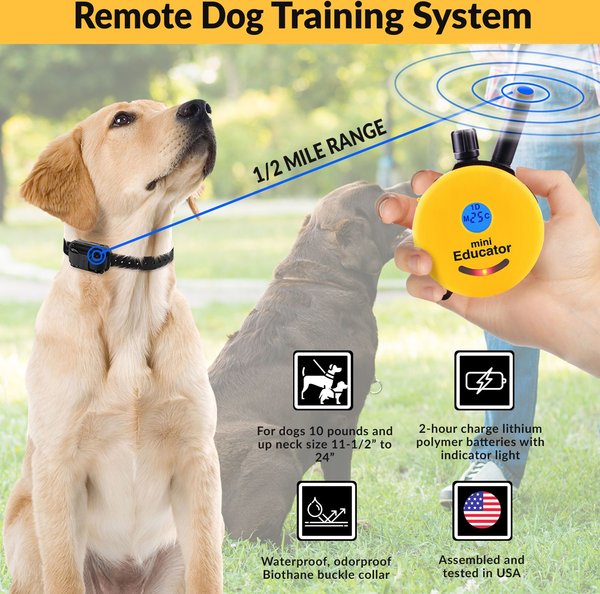 EDUCATOR By E-Collar Technologies Mini 1/2 Mile Range Remote Waterproof Dog Training Collar, 2 ...
