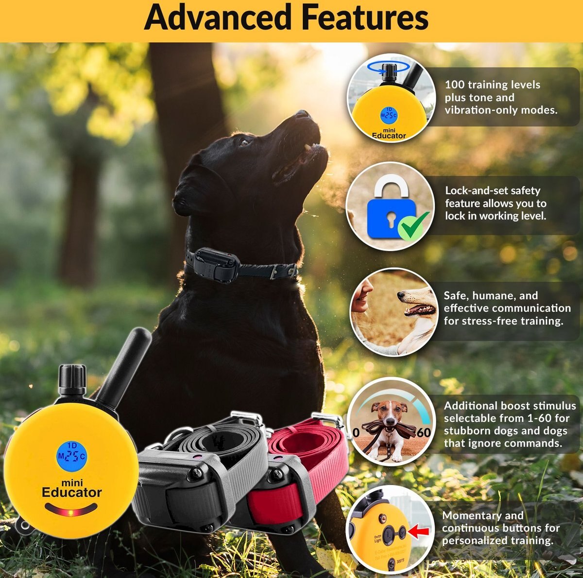 EDUCATOR By E-Collar Technologies Mini 1/2 Mile Range Remote Waterproof ...