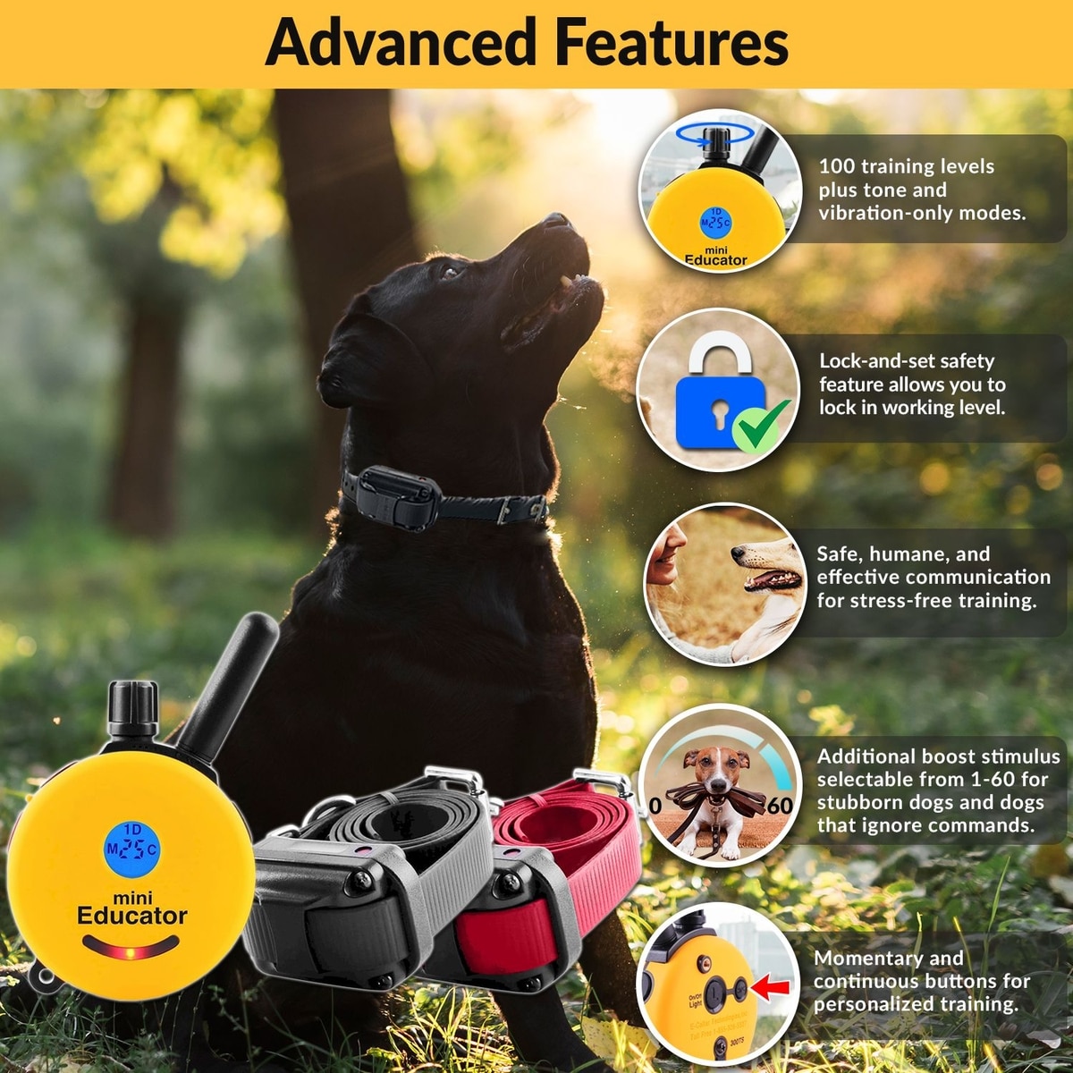 EDUCATOR By E-Collar Technologies Mini 1/2 Mile Range Remote Waterproof ...