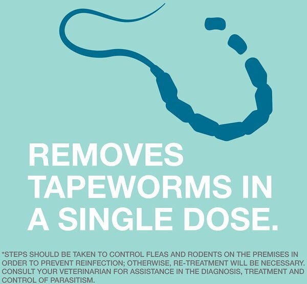 Bayer Tapeworm Dog De-Wormer | Chewy (Free Shipping)