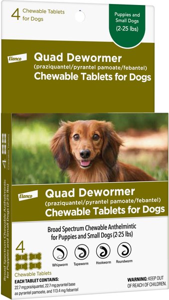Bayer Quad Small Dog De-Wormer | Chewy (Free Shipping)
