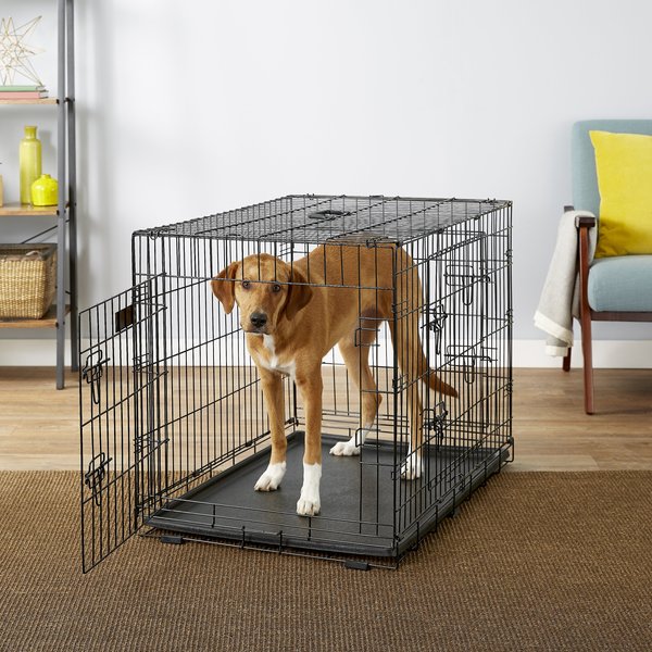 ELITEFIELD 3-Door Collapsible Wire Dog Crate with Divider, 36 inch ...