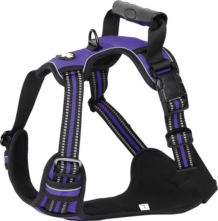 PURPLE DOG HARNESSES (Free Shipping) | Chewy