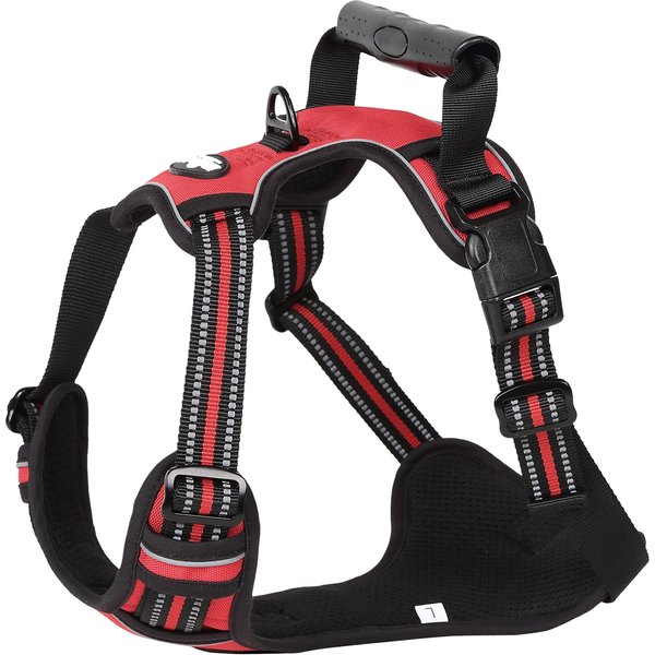WILD ONE Adjustable Cushioned Dog Harness, Black, Large - Chewy.com