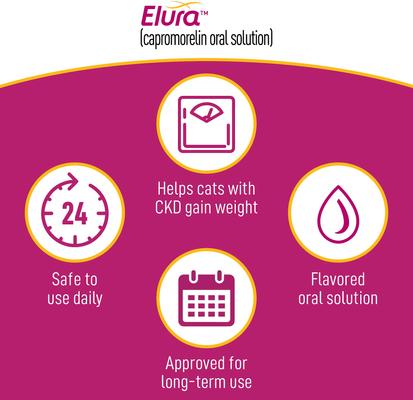ELURA (capromorelin oral solution) for Cats, 20 mg/mL, 15 mL - Easy ...