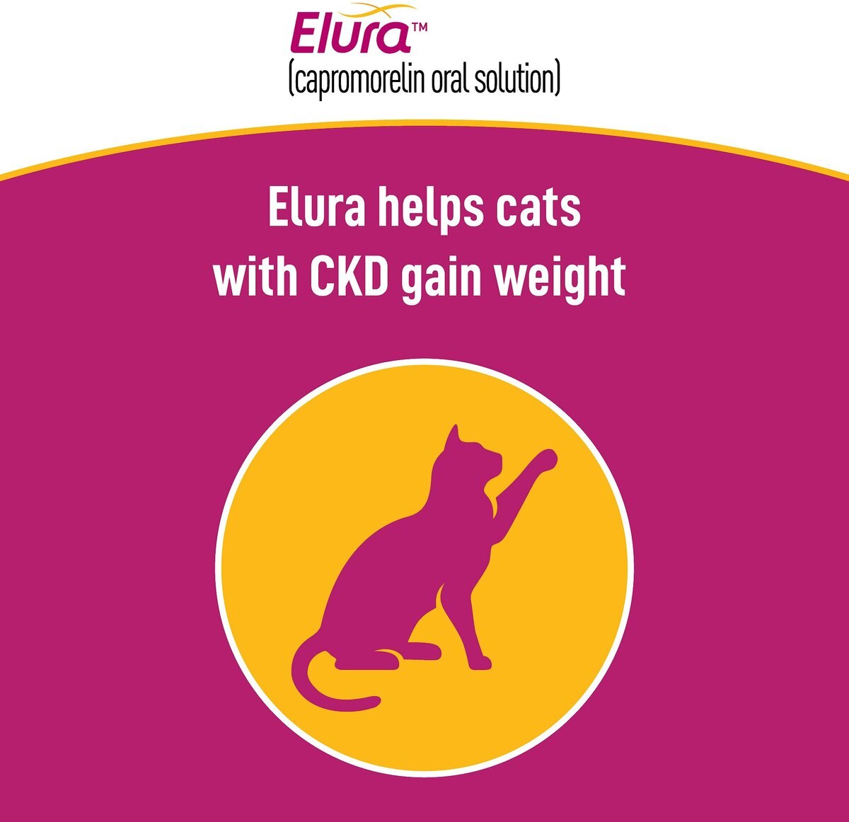 ELURA (capromorelin oral solution) for Cats, 20 mg/mL, 15 mL - Easy ...