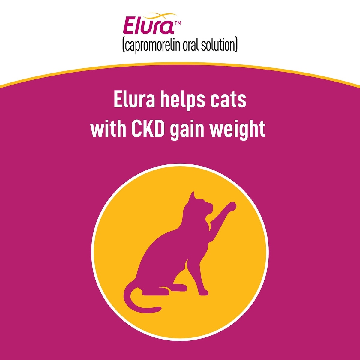 ELURA (capromorelin oral solution) for Cats, 20 mg/mL, 15 mL - Easy ...