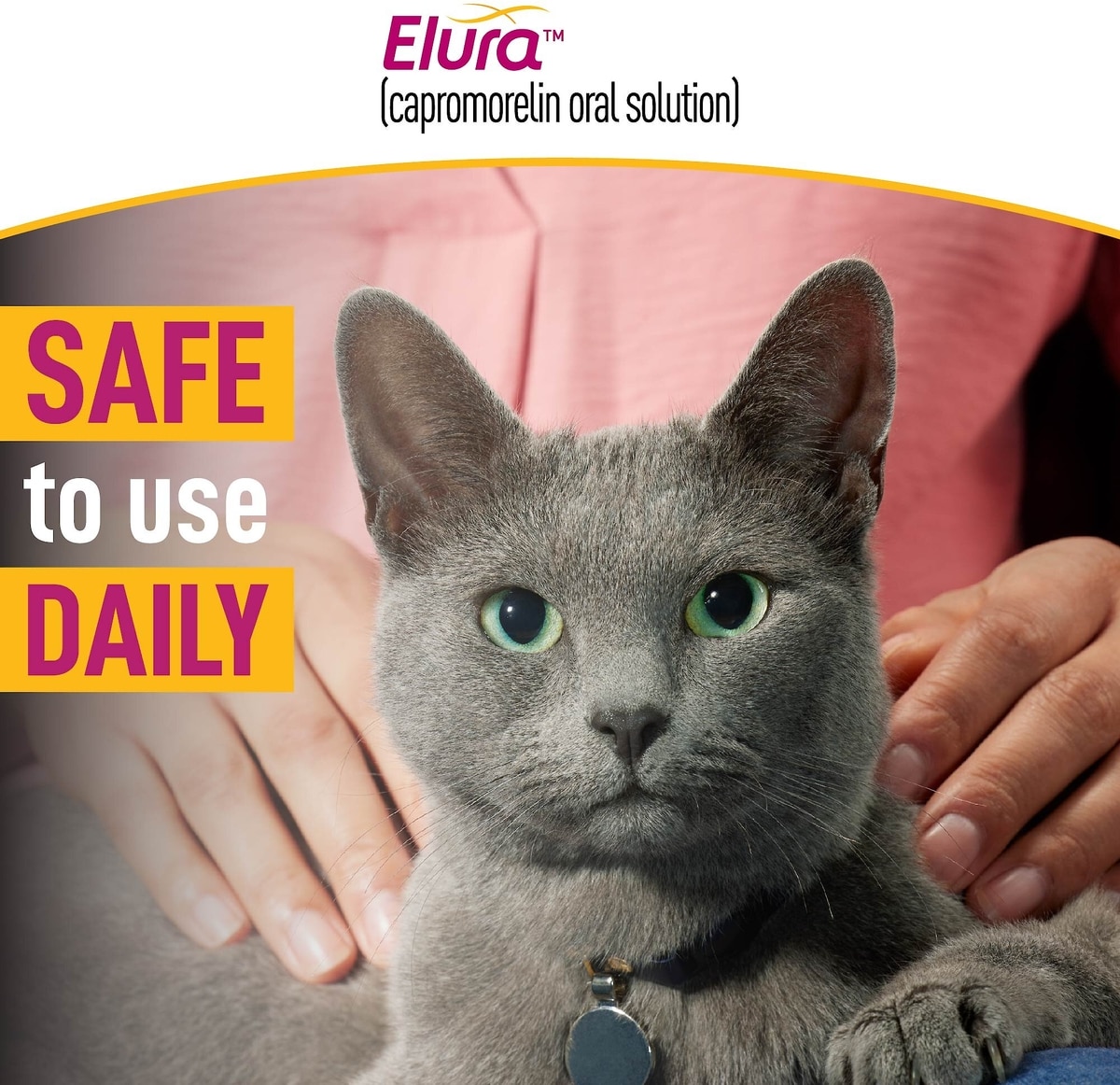 ELURA (capromorelin oral solution) for Cats, 20 mg/mL, 15 mL - Easy ...
