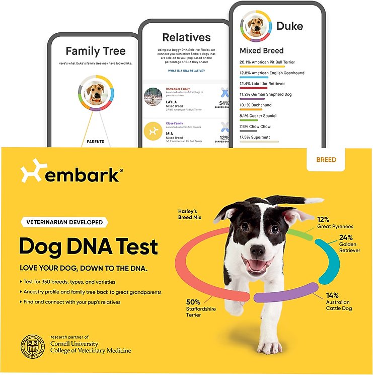 Embark Dog DNA & Breed Tests | Chewy