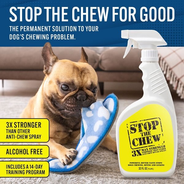 EMMY'S BEST PET PRODUCTS Stop The Chew 3X Strength Anti-Chew Bitter Dog ...