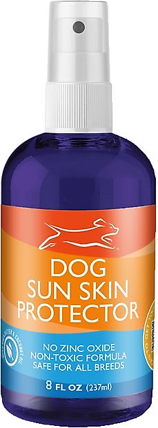 Dog Lotions, Creams & Balms (Free Shipping) | Chewy