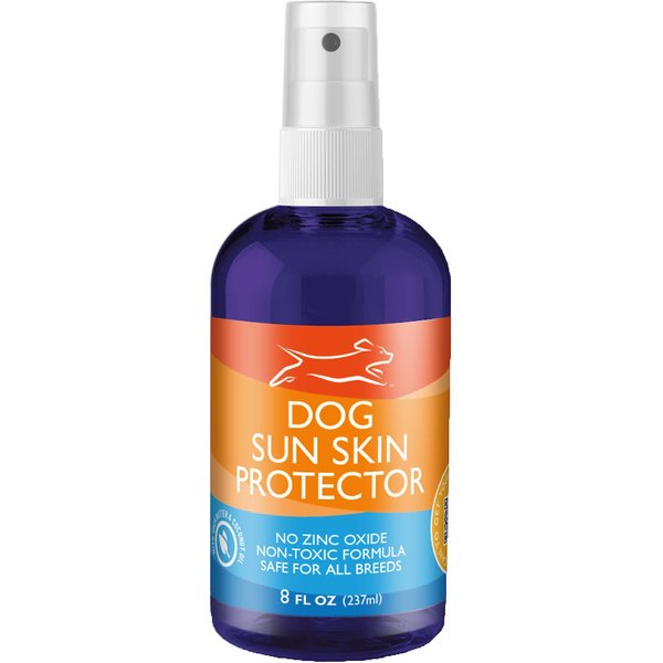 WARREN LONDON Dog Sunscreen Spray, 4-fl oz bottle - Chewy.com
