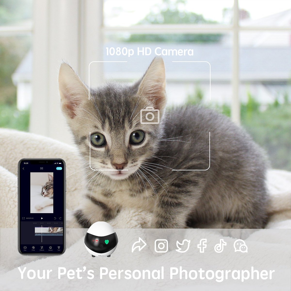 ENABOT EBO SE Automatic Smart Robot Camera - Chewy.com