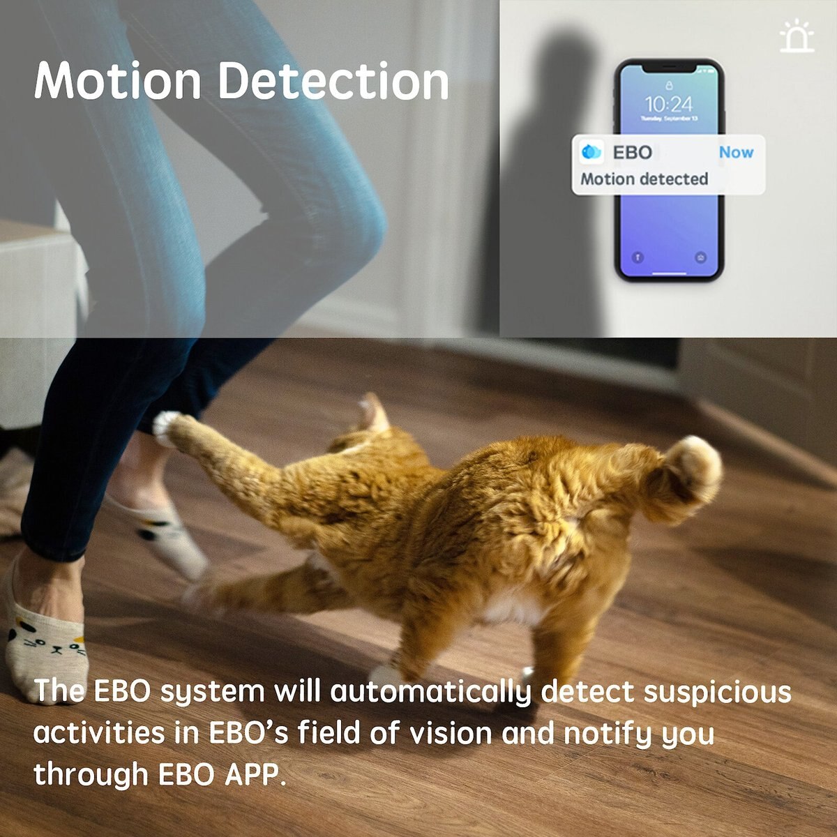 ENABOT EBO SE Automatic Smart Robot Camera - Chewy.com