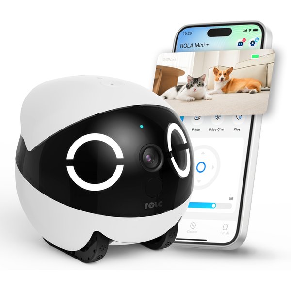 ENABOT EBO Air 2 Pet Camera, Jay Blue - Chewy.com