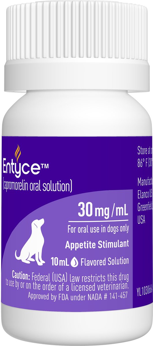 ENTYCE (capromorelin) Oral Solution for Dogs, 30-mg/mL, 10-mL - Easy ...