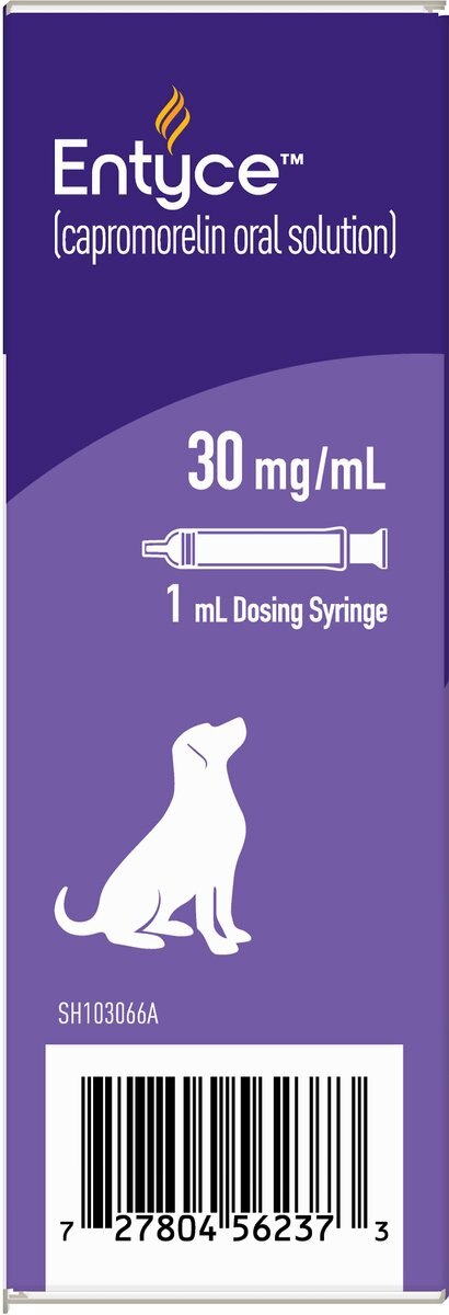 ENTYCE (capromorelin) Oral Solution for Dogs, 30-mg/mL, 10-mL - Easy ...
