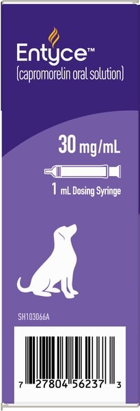 ENTYCE (capromorelin) Oral Solution for Dogs, 30-mg/mL, 10-mL - Easy ...