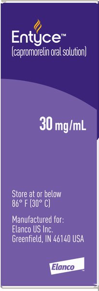 ENTYCE (capromorelin) Oral Solution for Dogs, 30-mg/mL, 10-mL - Easy ...