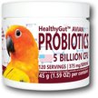 EQUA HOLISTICS HealthyGut Avian Probiotics Bird Supplement, 1.59-oz tub ...