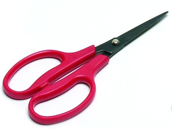 EQUI-ESSENTIALS Magic Horse Mane Scissors, Red - Chewy.com