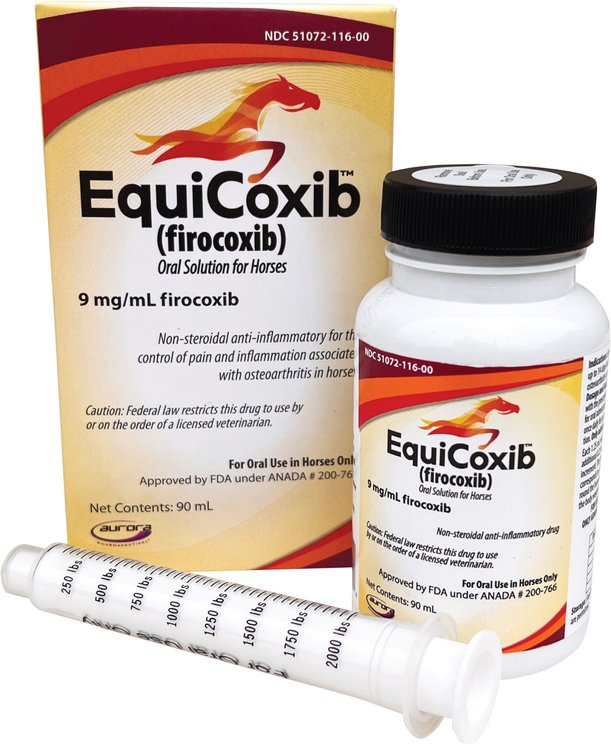 Anti-Inflammatory Medication For Horses | Chewy