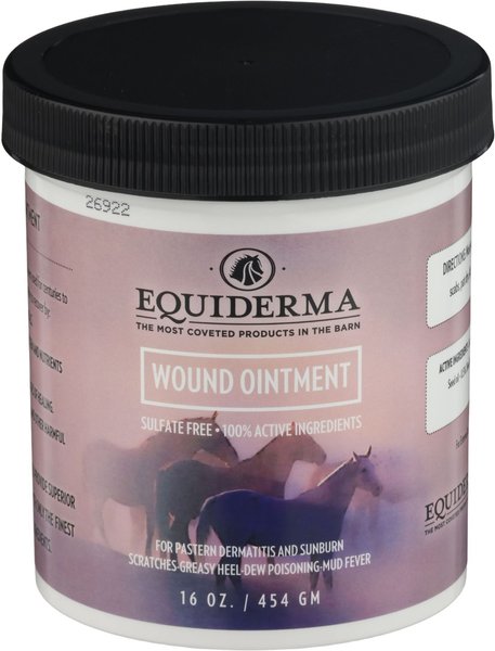 EQUIDERMA Calendula & Neem Horse Wound Care Ointment, 16-oz jar - Chewy.com