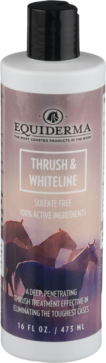 EQUIDERMA Horse Thrush & Whiteline Treatment, 16-oz jar - Chewy.com