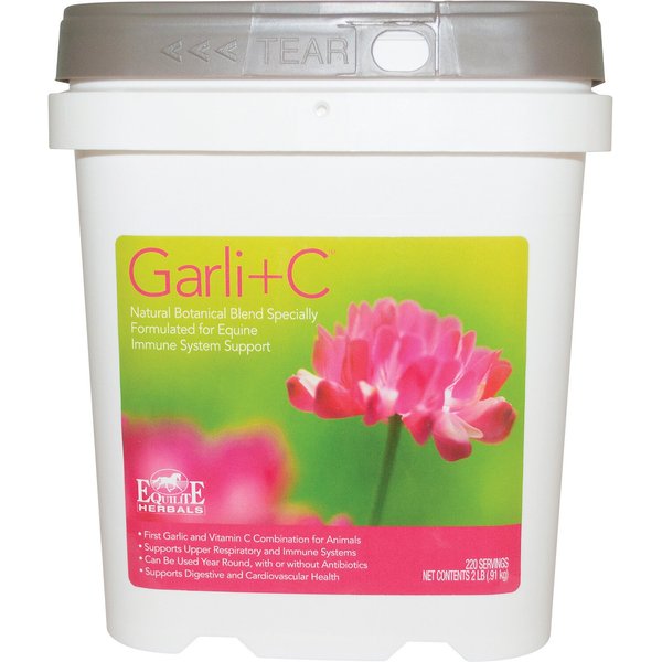 EQUILITE HERBALS FlyAway Garlic Immune System Support Powder Horse ...