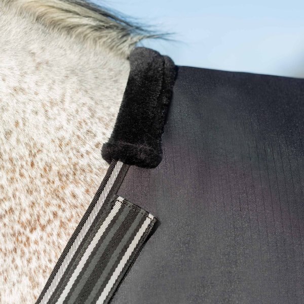 EQUINAVIA Norse Horse Turnout Sheet, Black, 84-in - Chewy.com