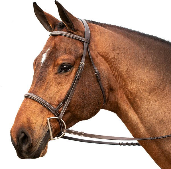 EQUINAVIA Saga Fancy Stitched Hunter Horse Bridle & Reins, Chocolate Brown, Cob - Chewy.com